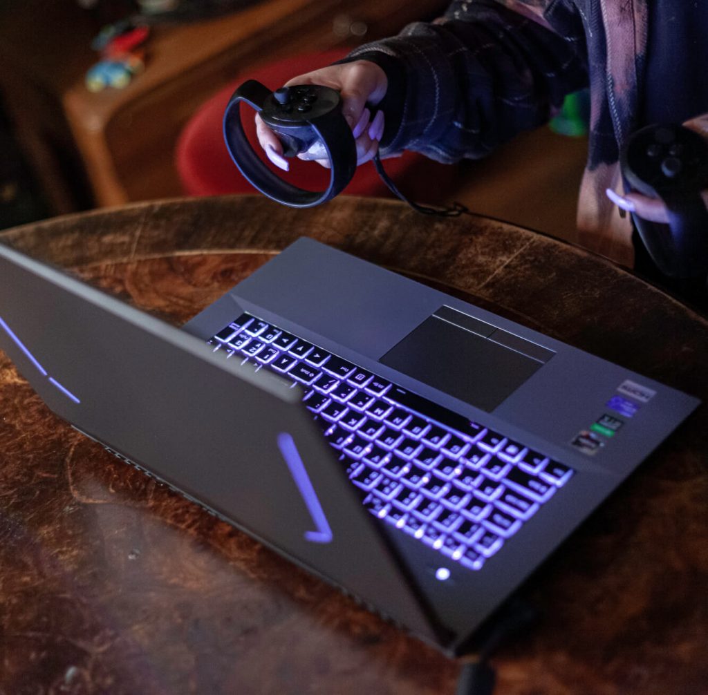 Clevo NH79ERQ 17.3-inch AMD Gamer | Laptopwithlinux.com